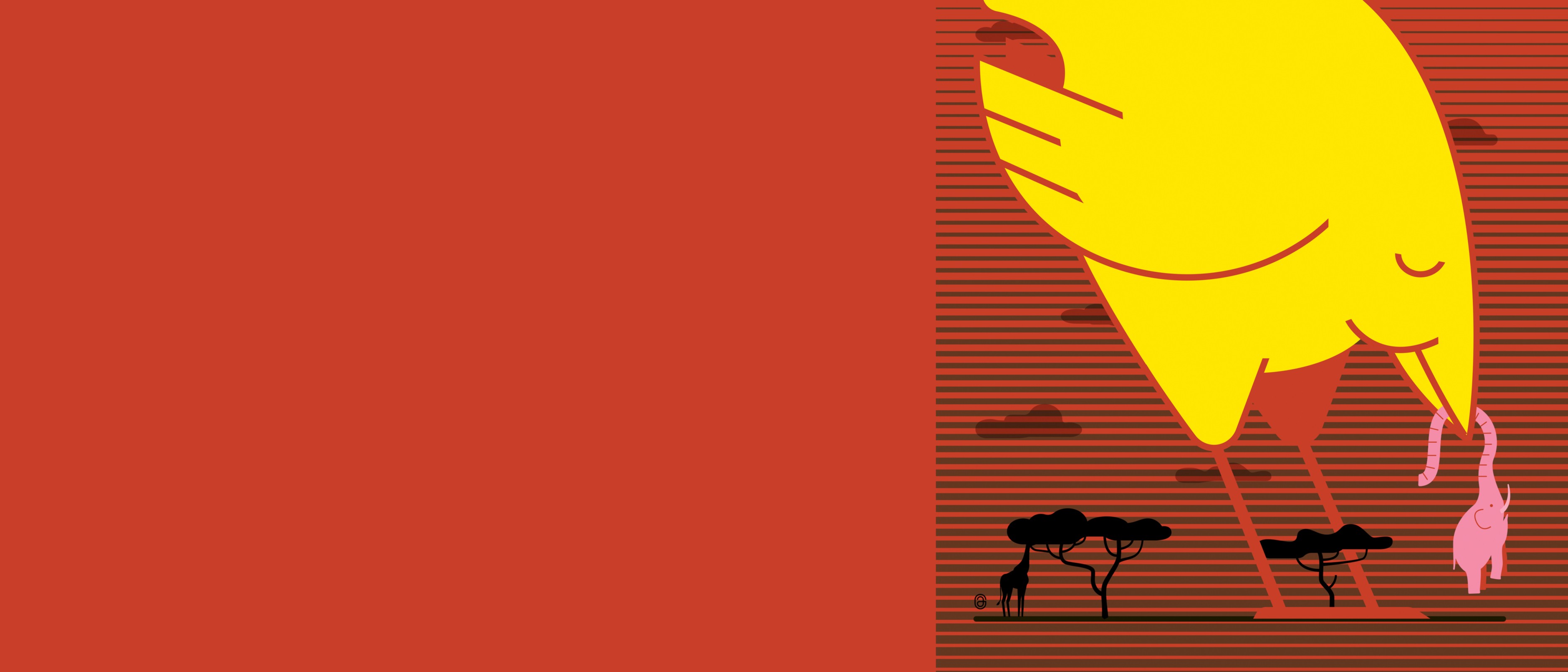 June Cohen: ‘In de startup-fase kun je leren wat je klant werkelijk wil ...