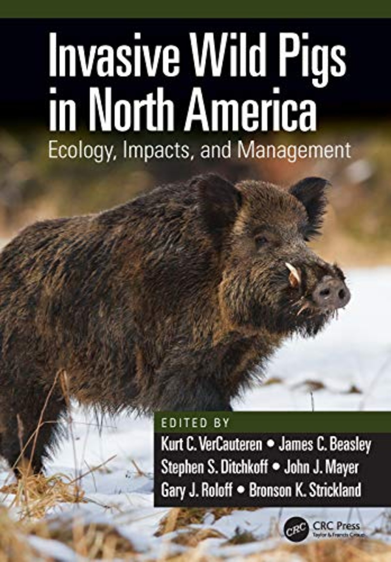 Invasive Wild Pigs in North America door Kurt C. VerCauteren, James C ...