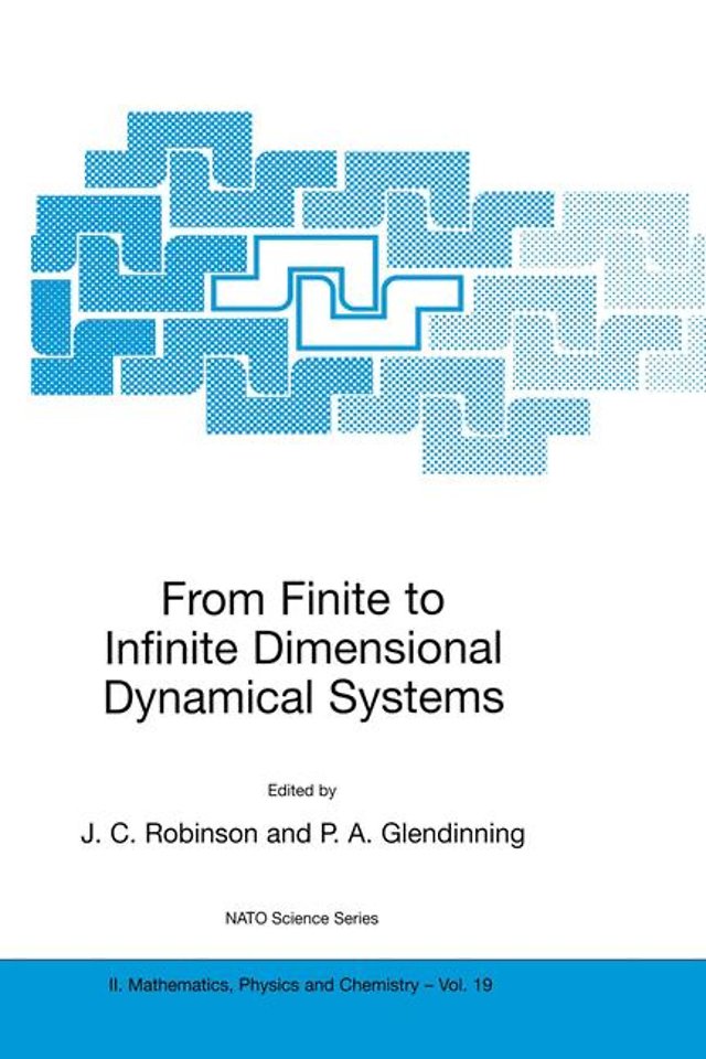 From Finite to Infinite Dimensional Dynamical Systems door James Robinson - Managementboek.nl