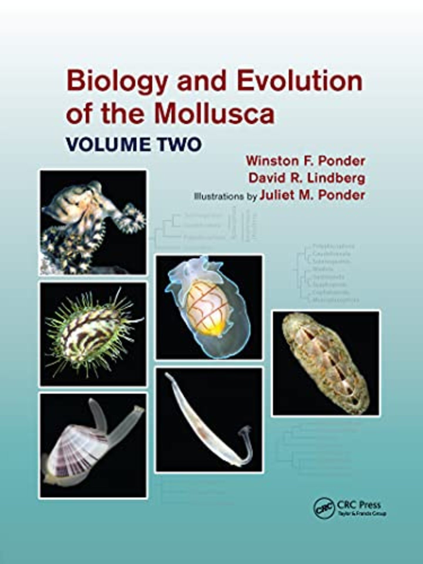 Biology and Evolution of the Mollusca, Volume 2 door Winston Frank ...