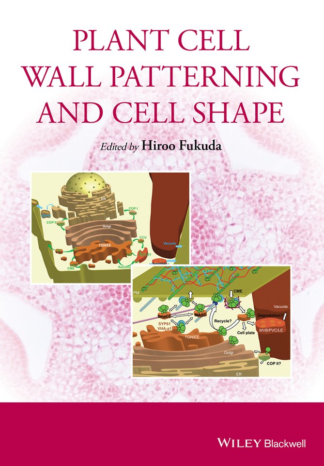 Plant Cell Wall Patterning and Cell Shape door H Fukuda - Managementboek.nl