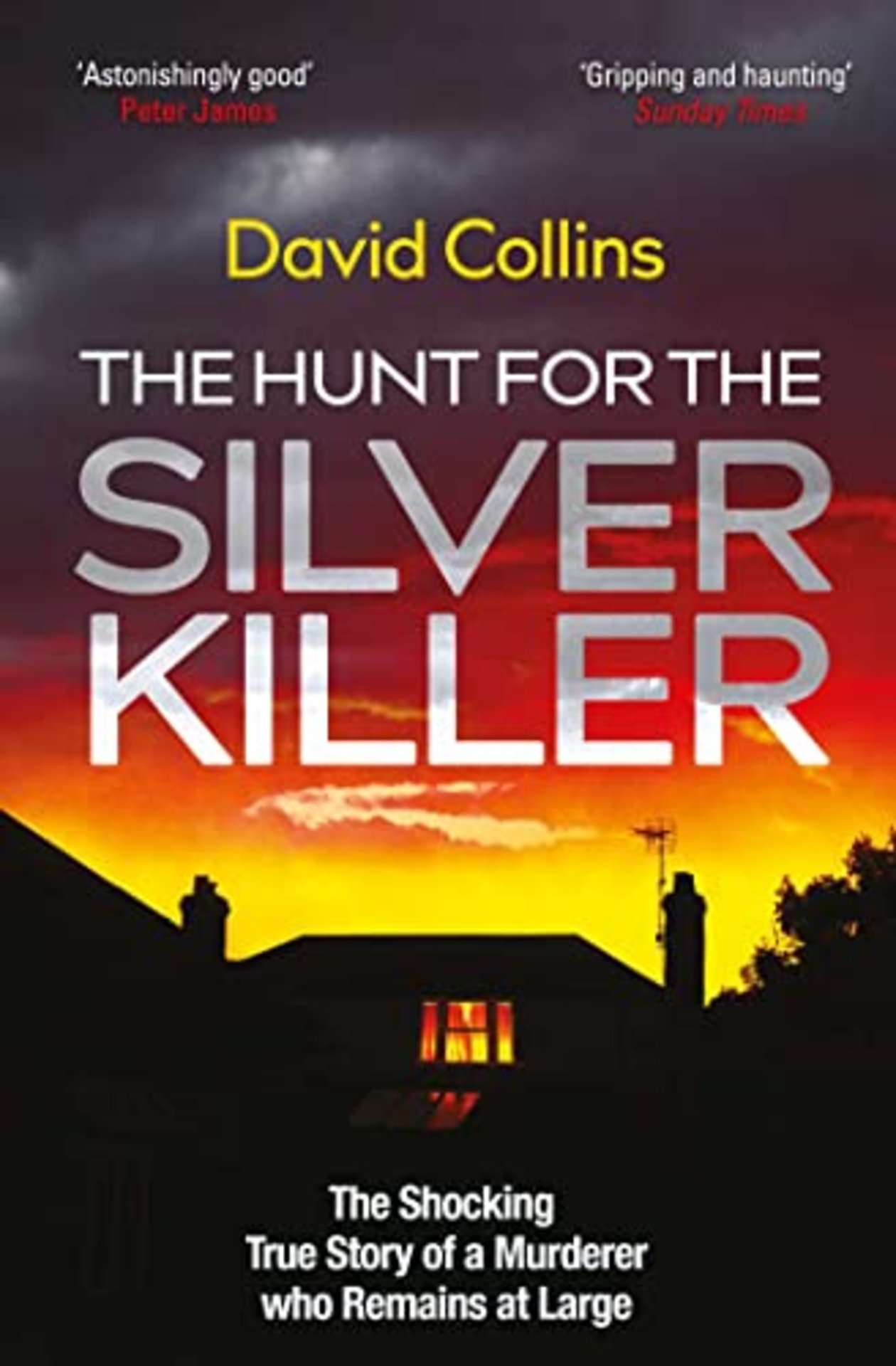 The Hunt for the Silver Killer door David Collins - Managementboek.nl