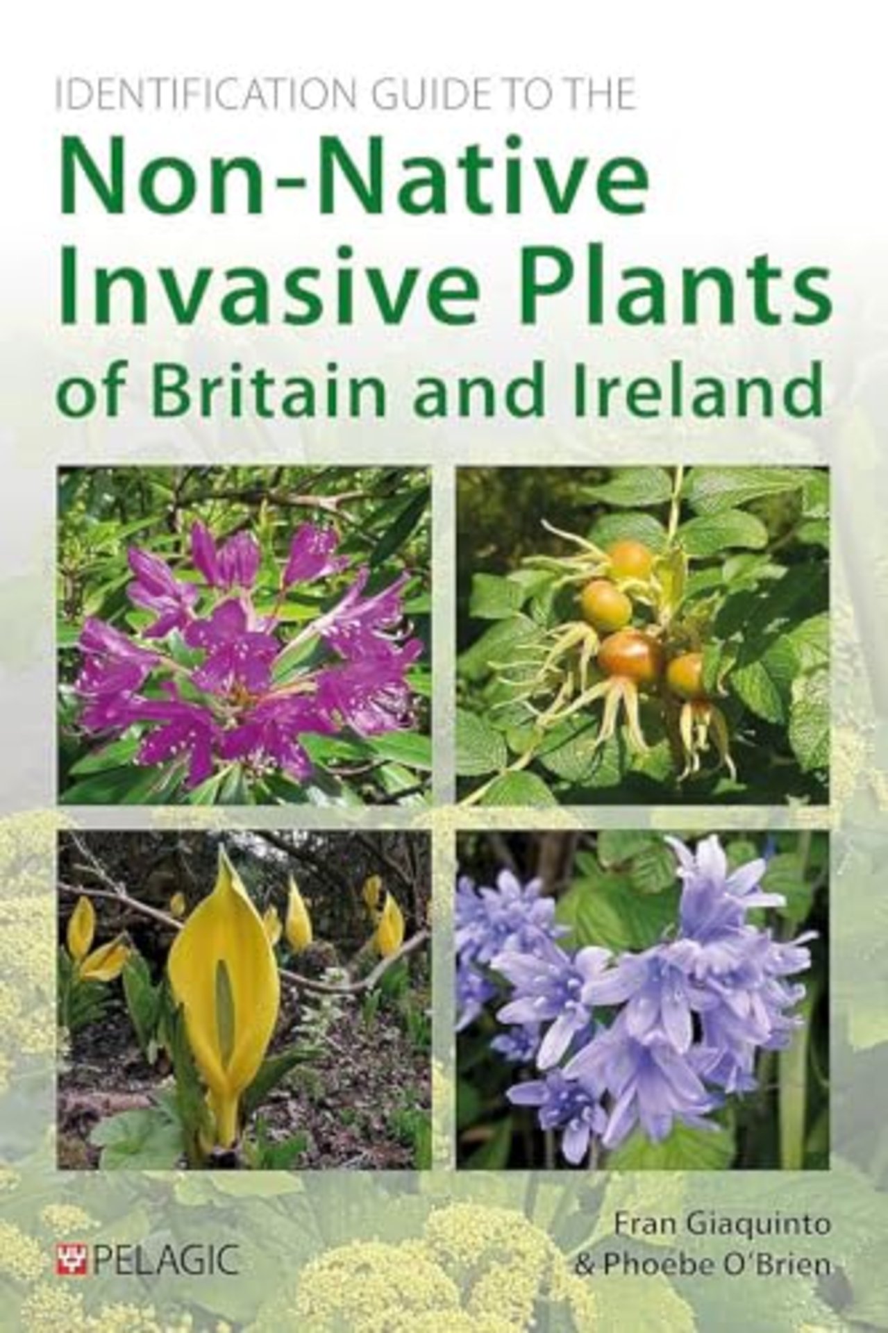 Identification Guide to the Non-Native Invasive Plants of Britain and ...
