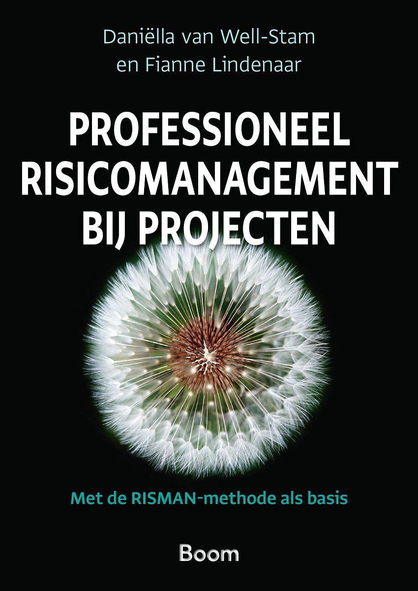 Professioneel risicomanagement bij projecten - Met de RISMAN-methode ...