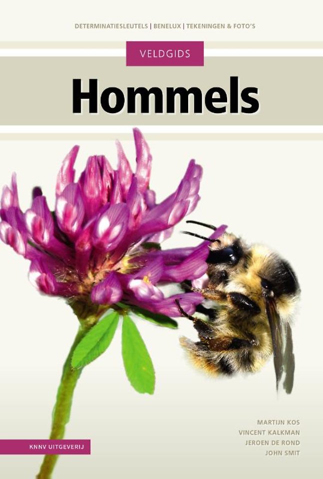 Veldgids Hommels door Martijn Kos, Vincent Kalkman en John Smit - Managementboek.nl