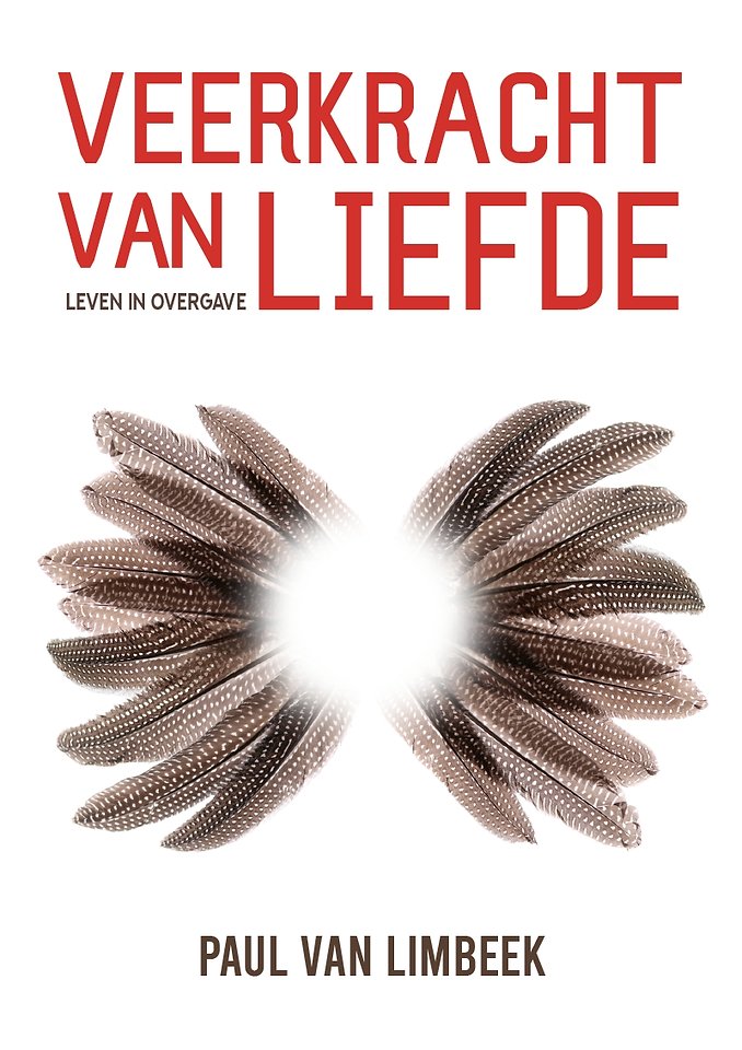 Veerkracht van liefde door Paul van Limbeek - Managementboek.nl